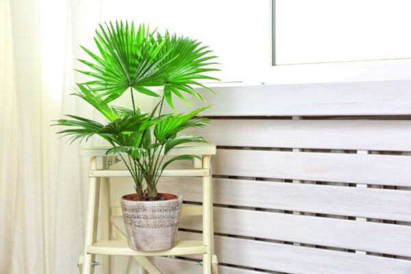11 Quick Tips To Elevate Your Living Space With Artificial Plants